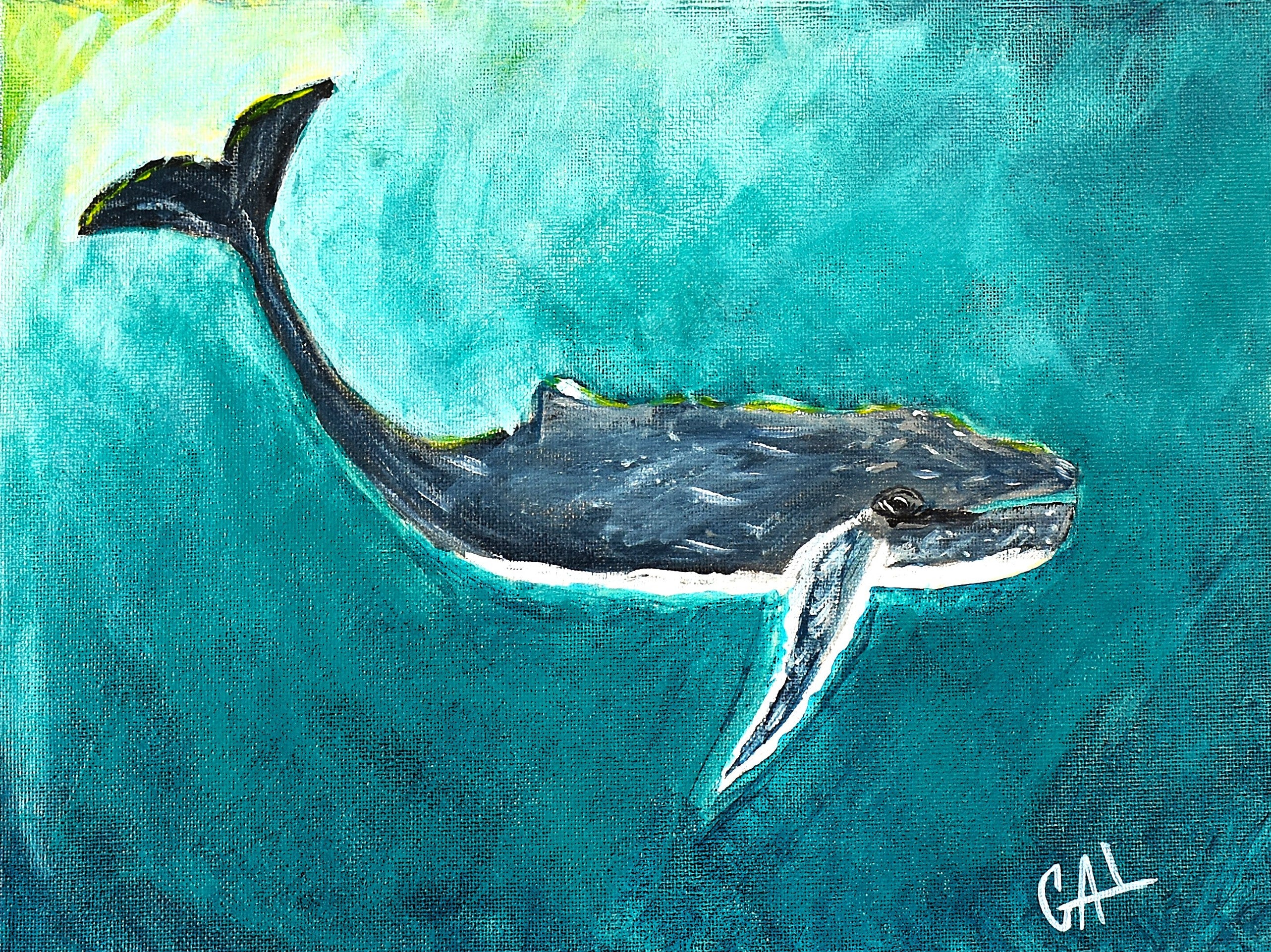 Humpback Whale - Original mixed media painting by Lisa Godin – GALery ...